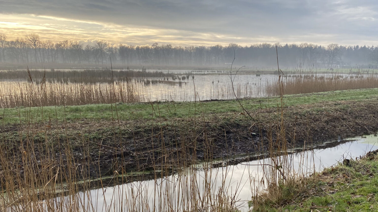 Hoogveen - Stichting Behoud Soester Hoogveen